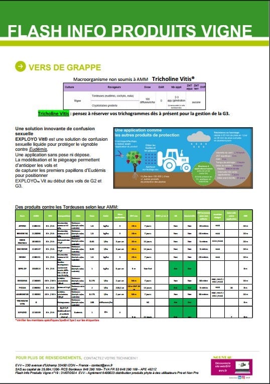 Flash Infos Produits n°19 - 31/07/2024 - EVV